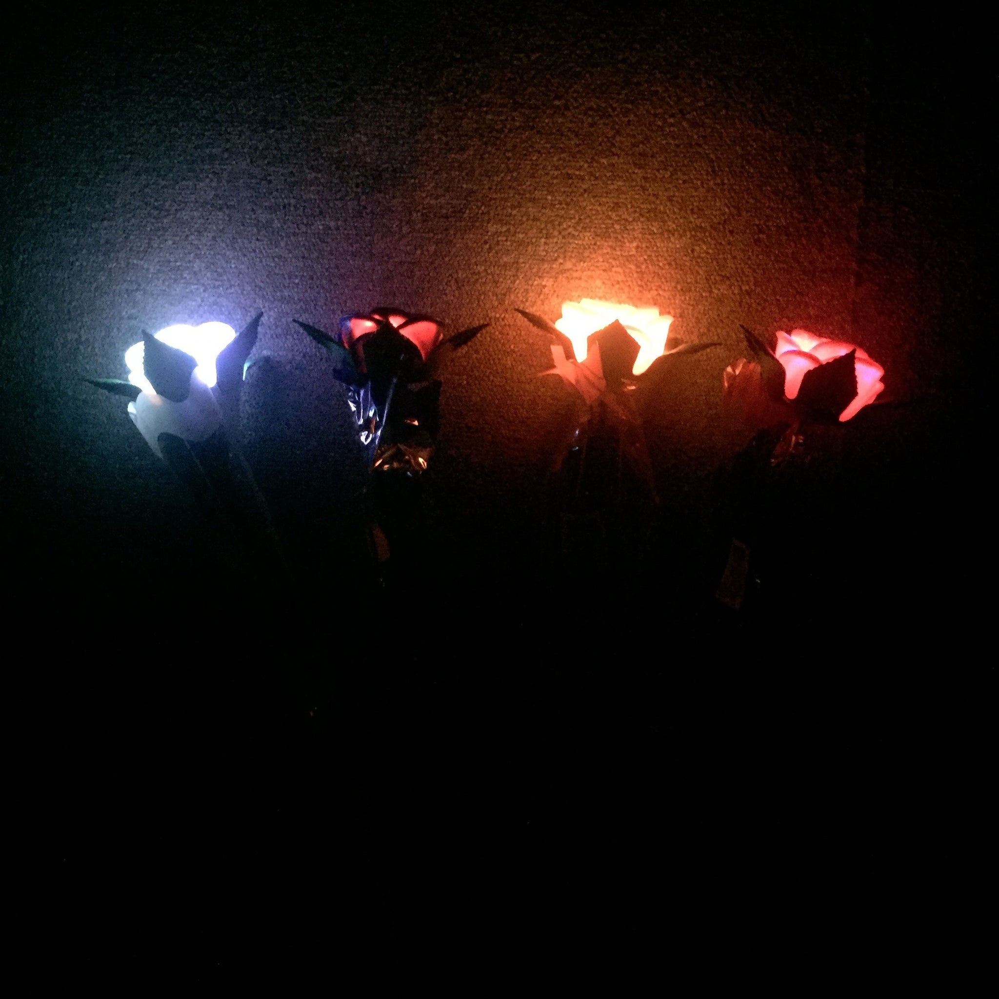 LED Light-Up Glowing Roses – dallastoyswholesale